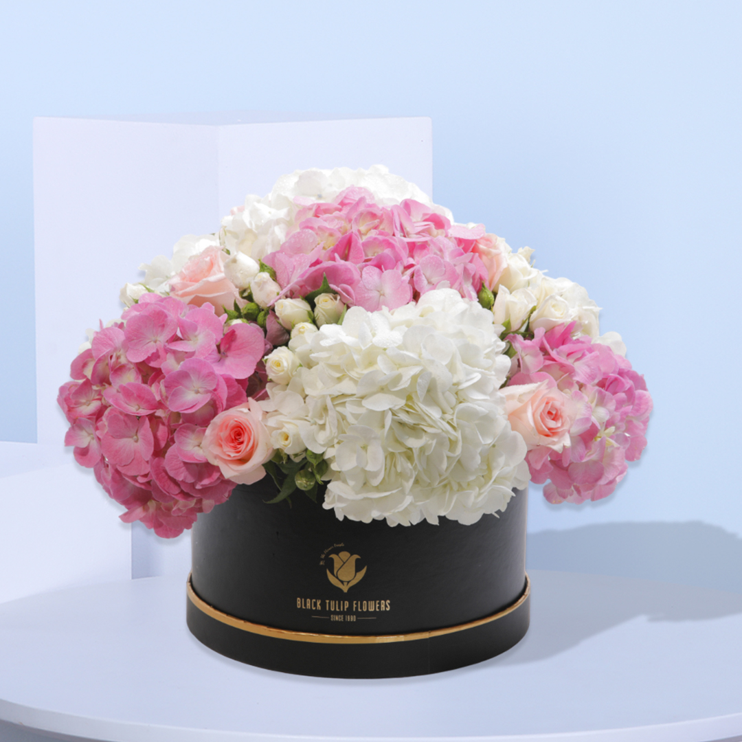 Box of Hydrangeas - Flower Delivery Dubai, UAE