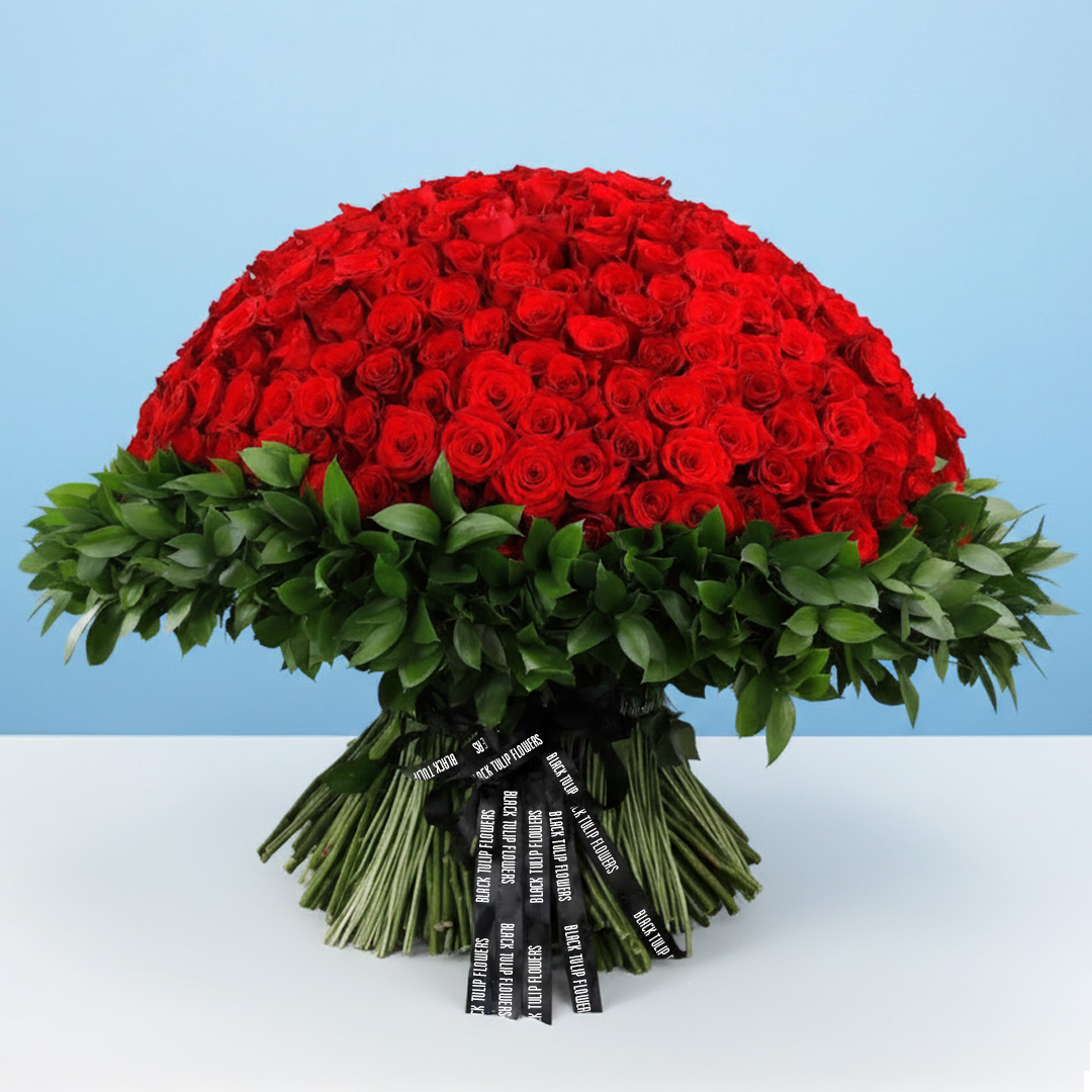 500 Red Roses for Valentine's - 500 Long Stem Roses Delivery