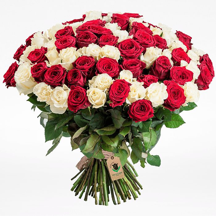 Bunch of red and white roses - Flower Delivery Dubai, UAE