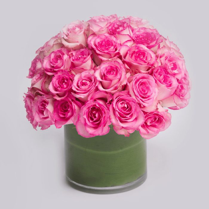 Fantasy Pink Roses - Flower Delivery Dubai, UAE