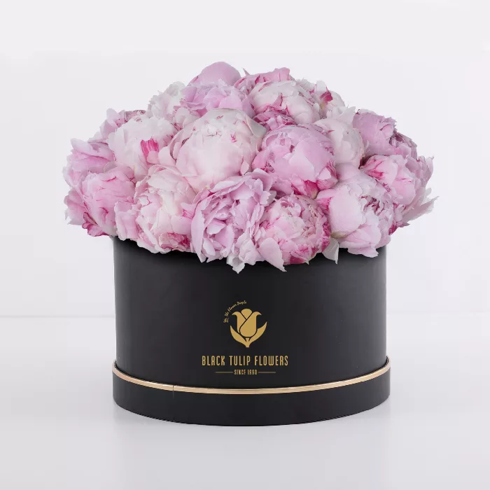 Peonies in a Box - Flower Delivery Dubai, UAE