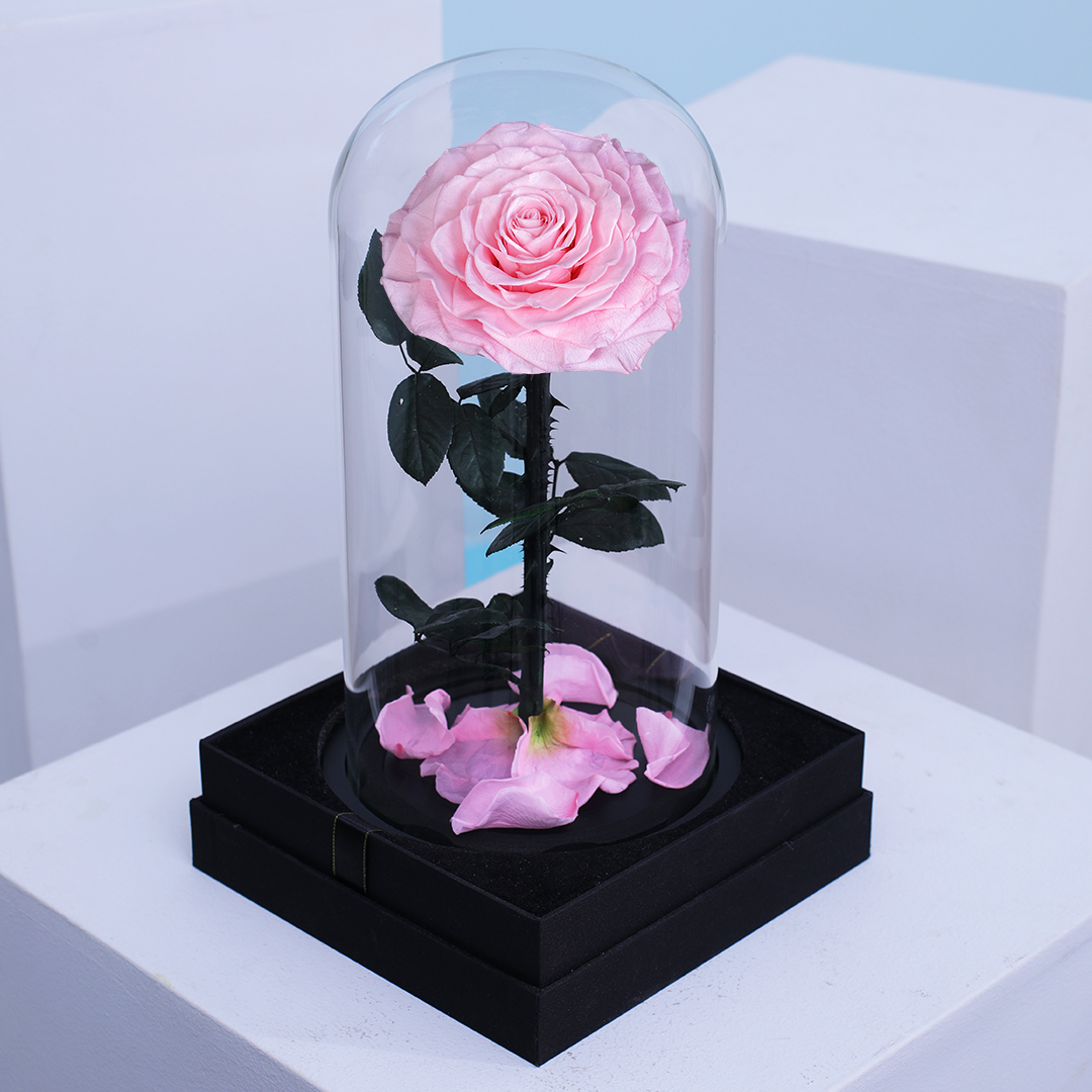 Single Pink Forever Rose | Online Preserved Flowers