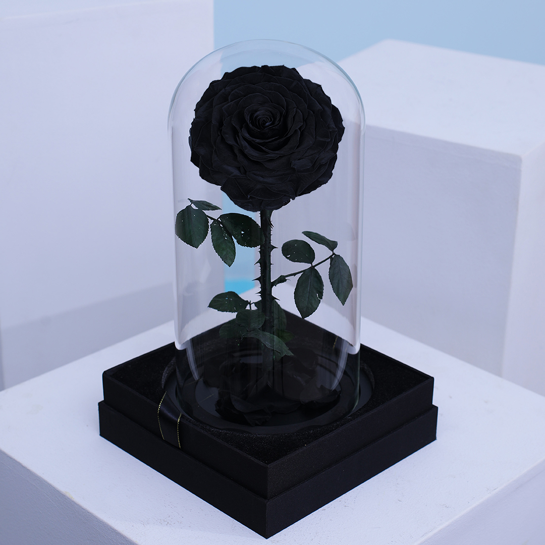 Single Forever Black Rose | Preserved Black Rose Delivery