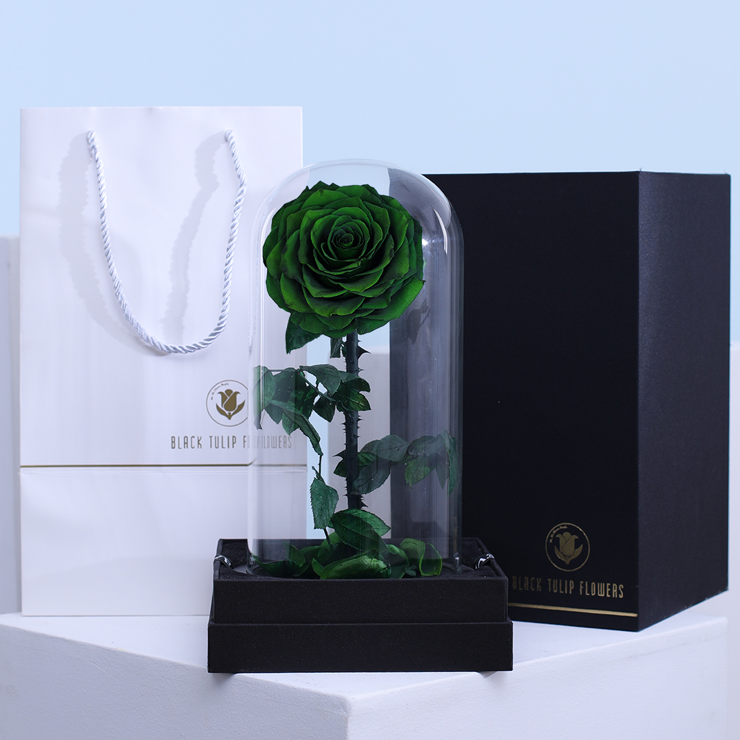 Single Greeen Forver Rose | Online Preserved Rose