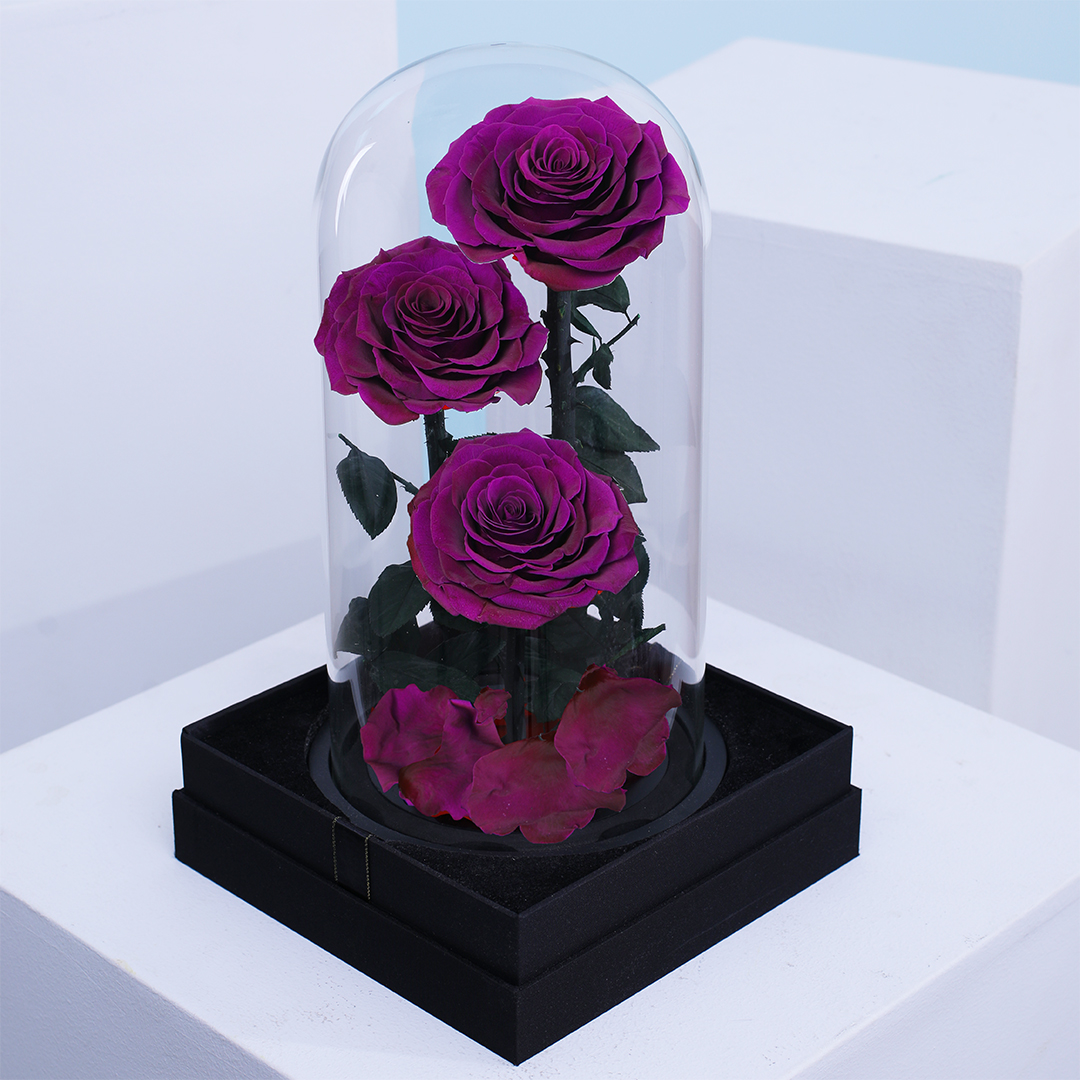 Purple Preserved Rose | Flowers Deliver