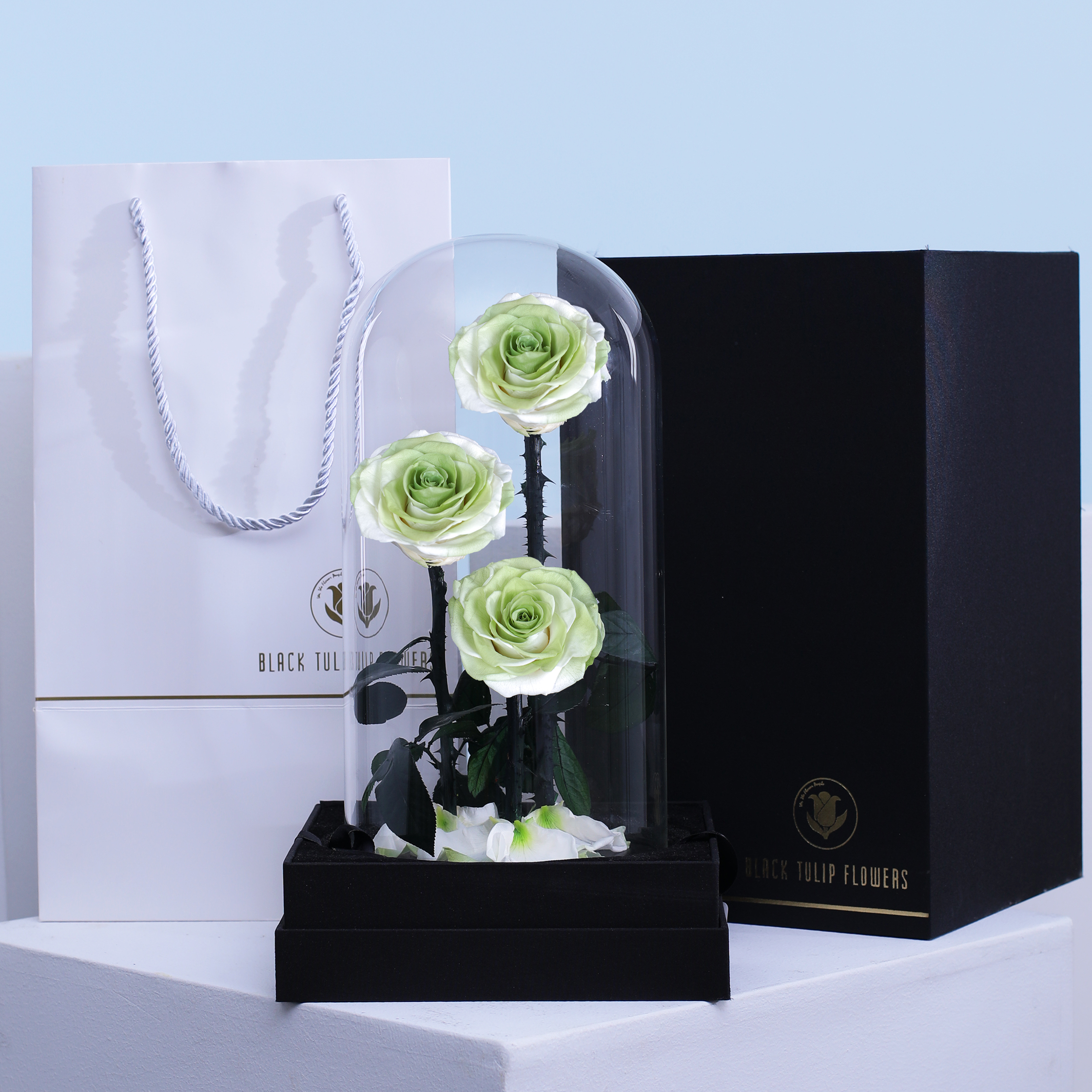 Green and White Rose | Flower Delivery Dubai | BTF.ae