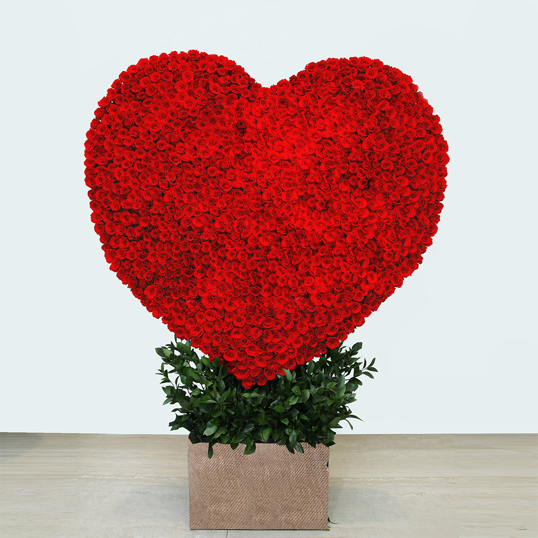 600/1000 Red Roses Heart - Personalized | Valentines Special