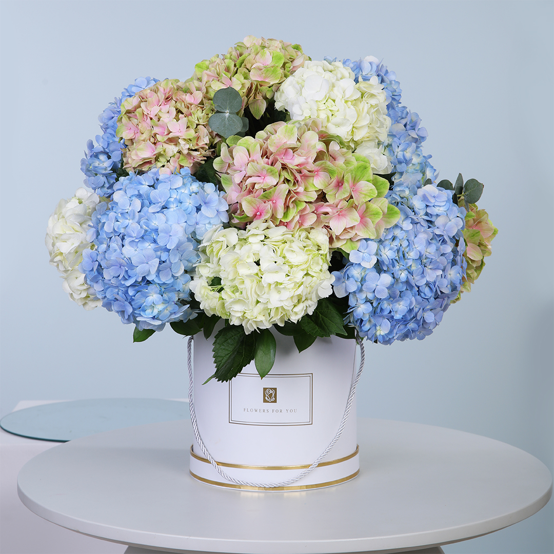 Blossoming Love Hydrangeas Box | Flower Box Dubai | BTF.ae