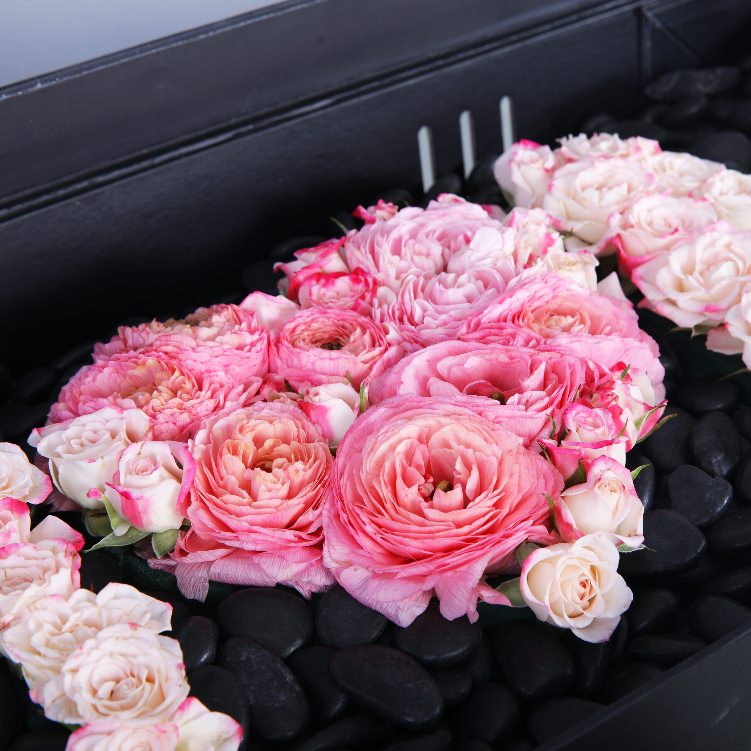 Mom's Special Bloom Box | Flower Box