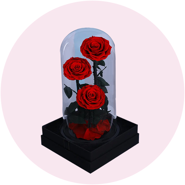 Forever-Rose - Black Tulip Flowers