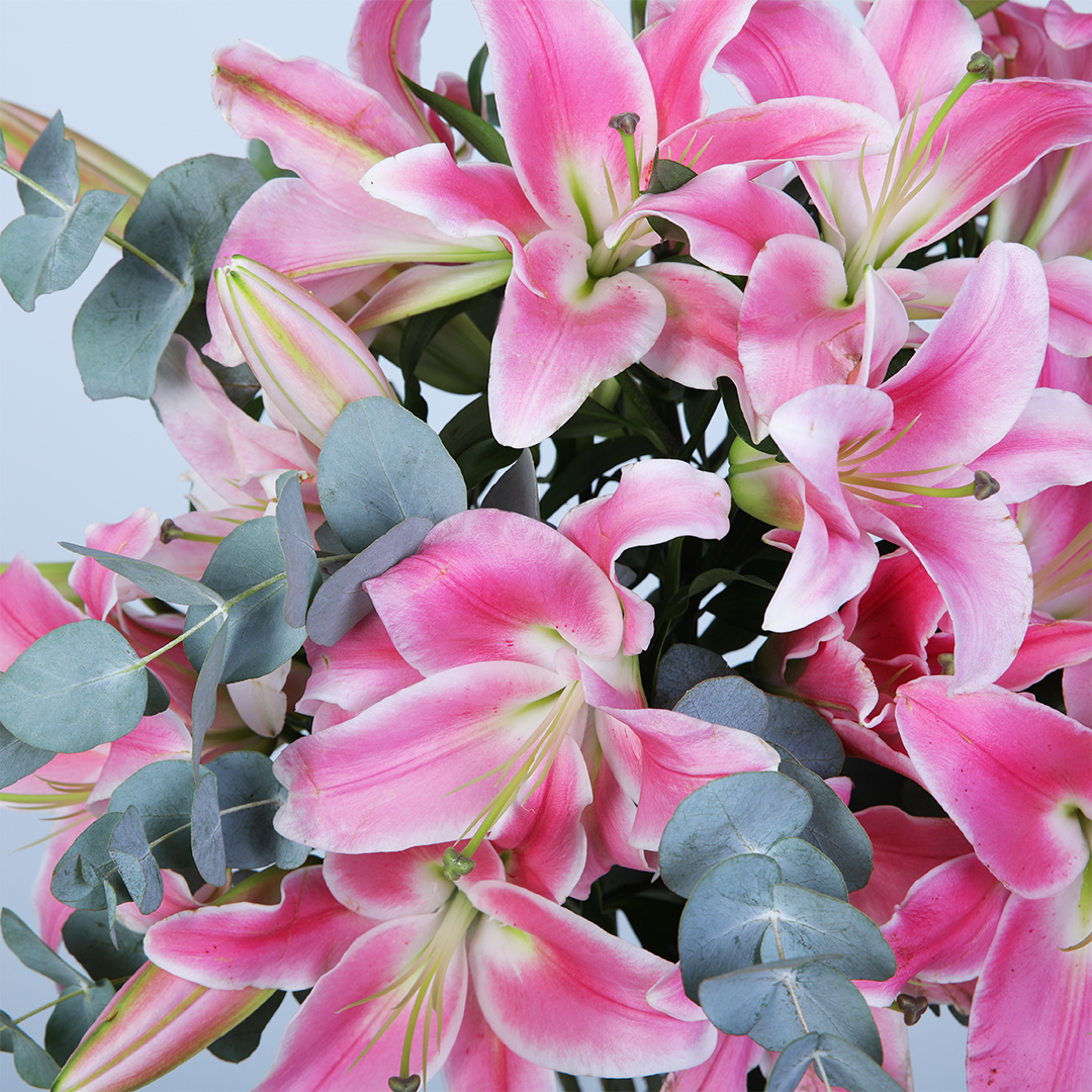 Fresh Grace Pink Lilies in Vase | Flower Vase