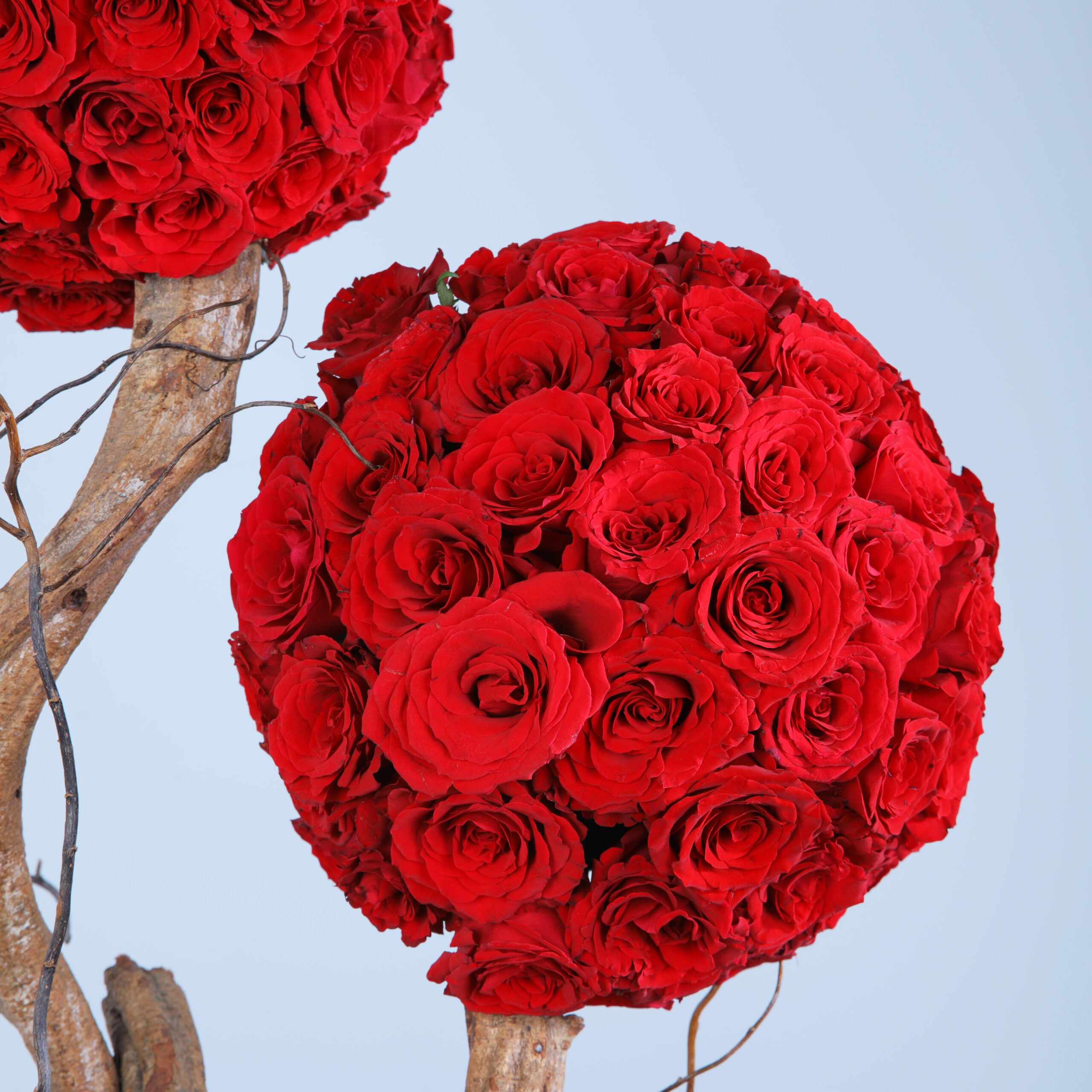 Red Rose Extravaganza | Red Rose Luxury Arrangement