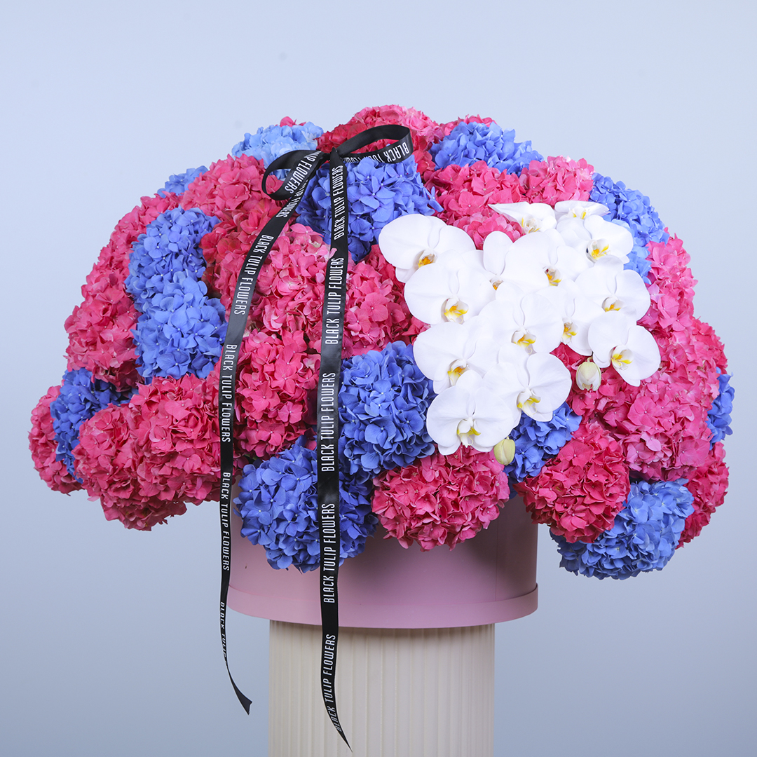 Dreamy Duo | Box of Flowers