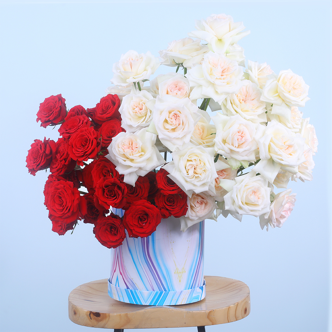 Luxe Rose Delight – Red & White O'Hara roses in Marble Box