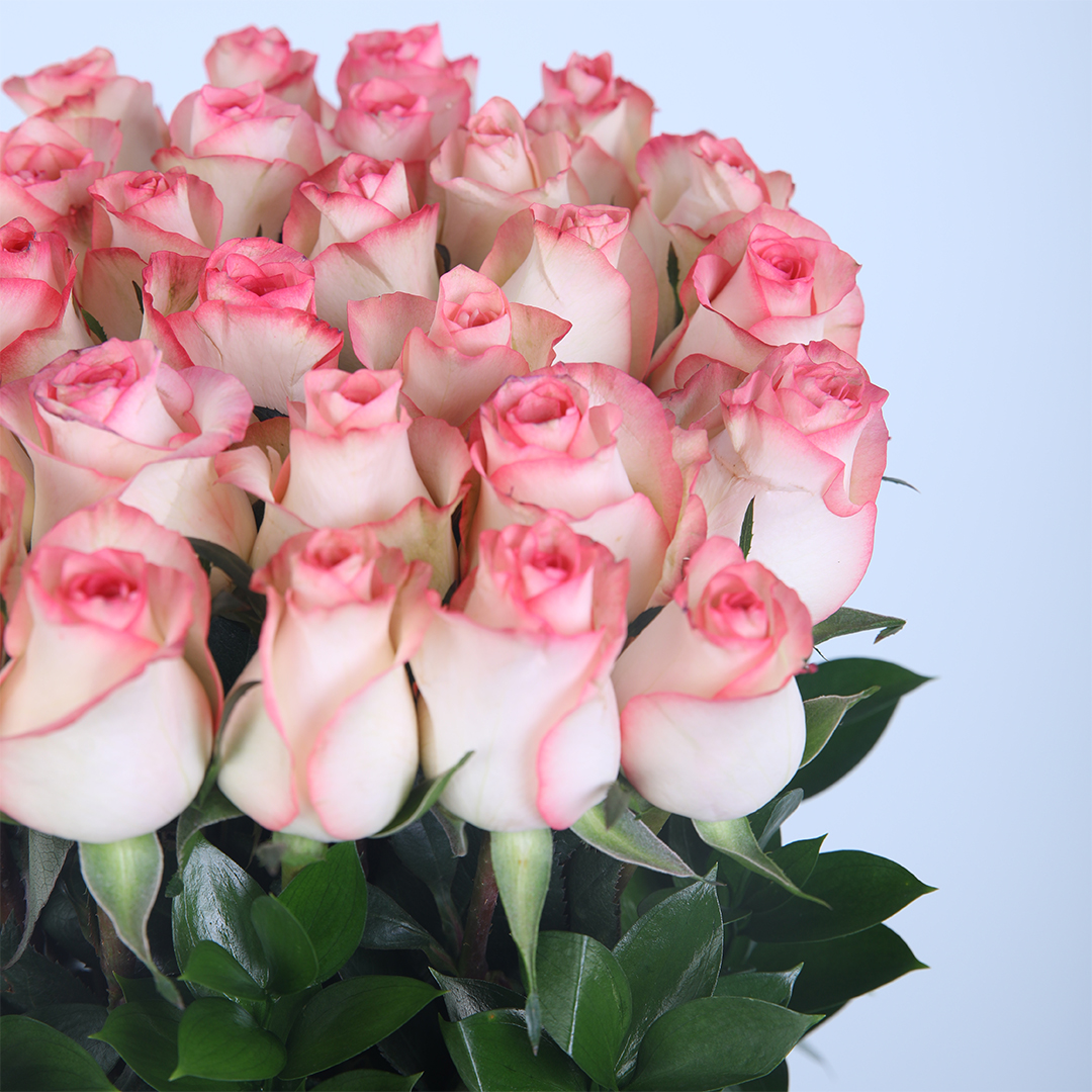 Jumelia Roses in a Box with Leaves| For Special Occasions