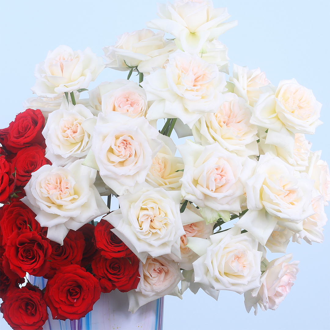 Marble Luxe Rose & O'Hara Delight – Red Roses & White O'Hara roses in ...