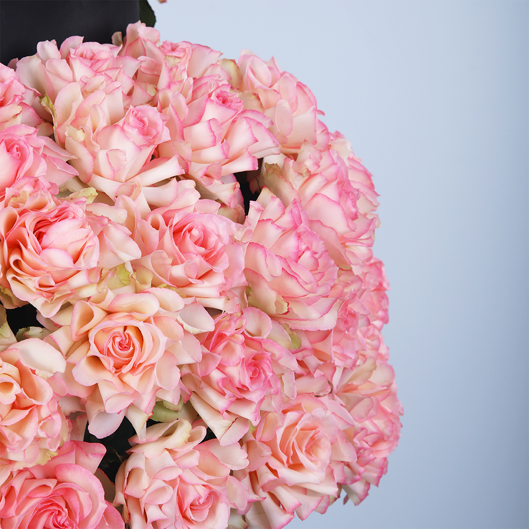 300 Pink Roses in a 3-Layered Tower | Elegant Rose Gift