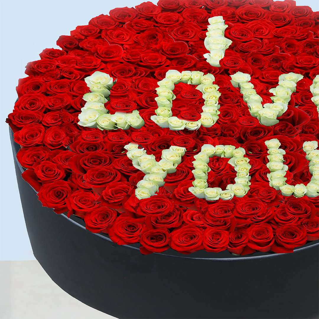 500 Roses of Love | I Love You Box