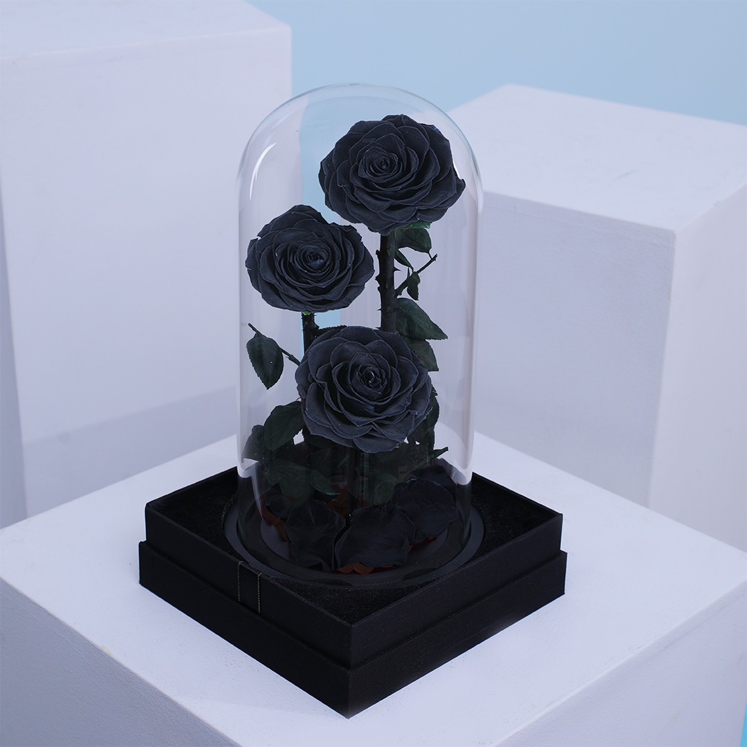 Black Trio Forever Rose | 3 Bold Black Infinity Roses