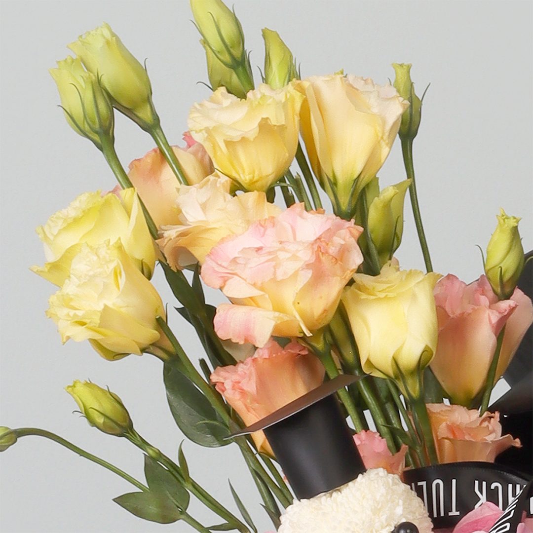 Pink Hydrangea Box | Congratulations Gift