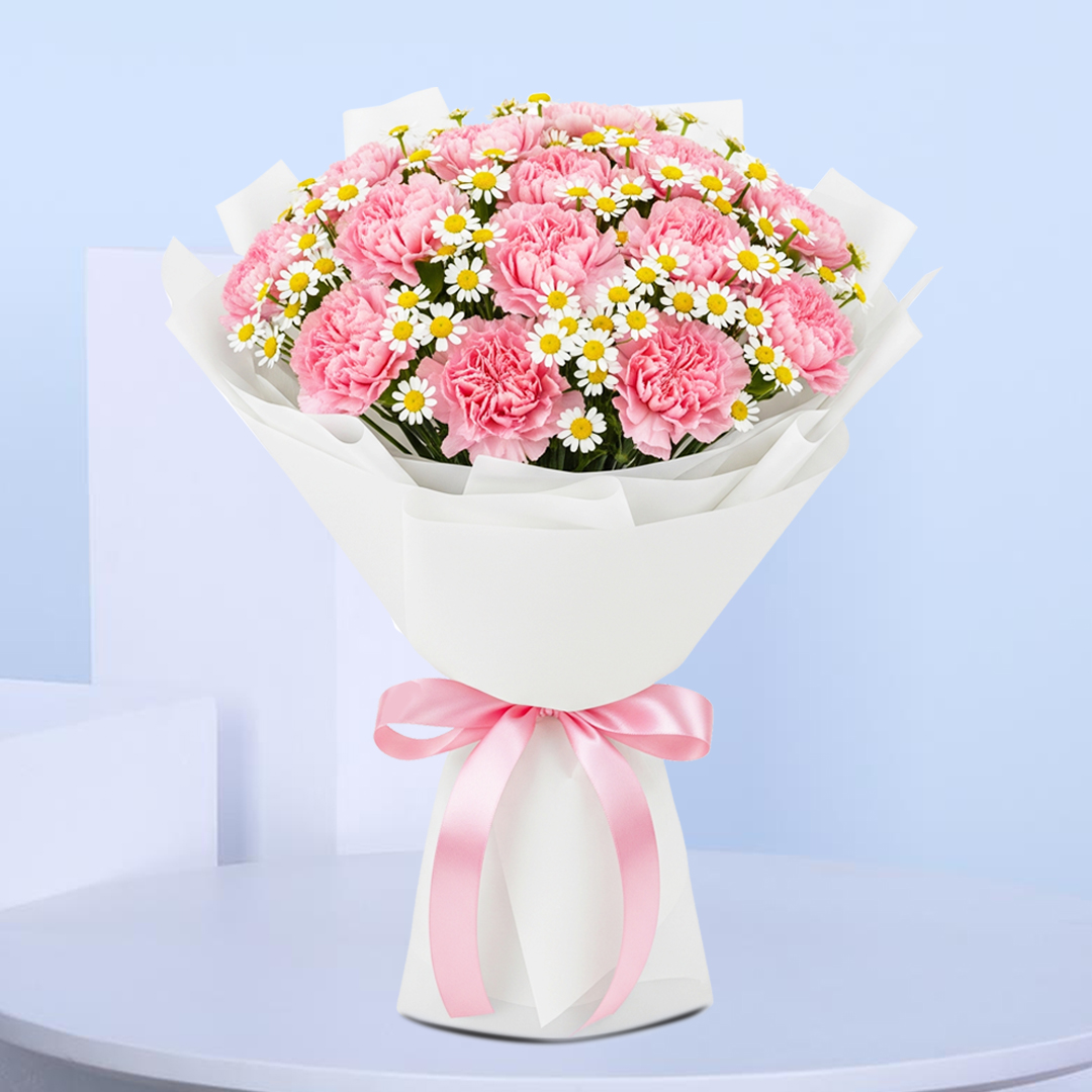 Light Pink Carnation Bouquet | Order Bouquets Online