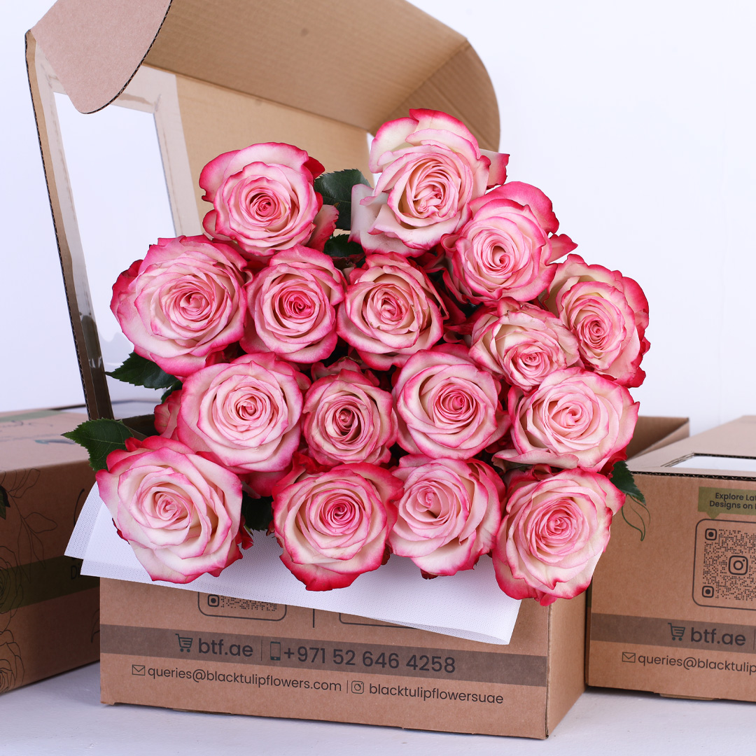 Rose Ecuador Paloma Pink | Flowers Bunch