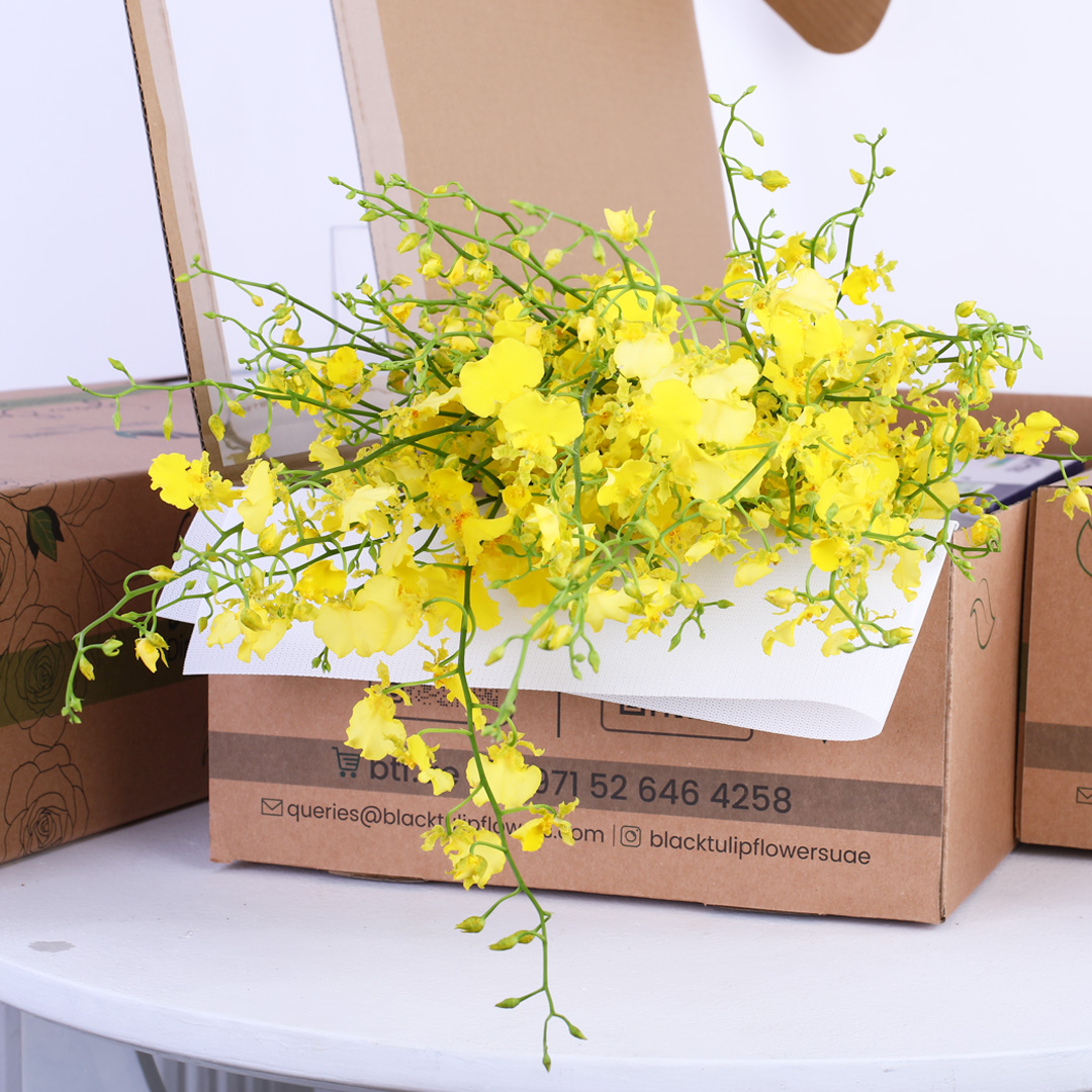 golden wish oncidium honey angel yellow | Bunch of Flowers