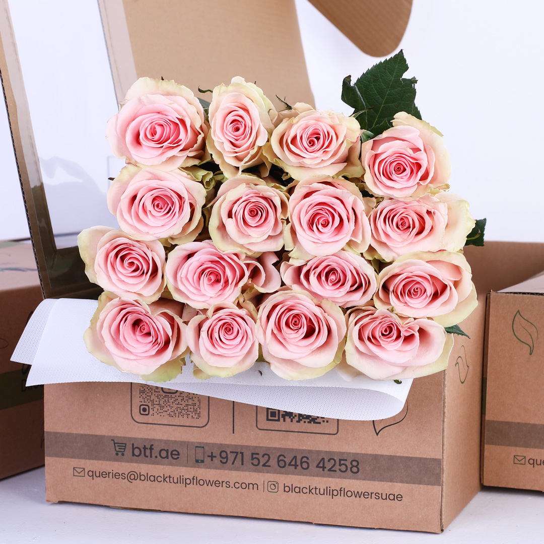 Rose ecuador absolut in pink peach | Bunch of Flowers