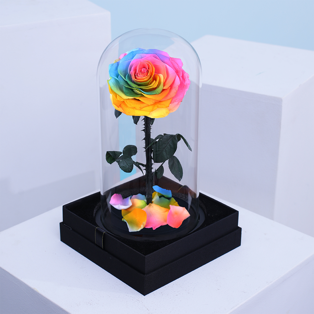 Rainbow Forever Rose | Shop Colourful Infinity Rose
