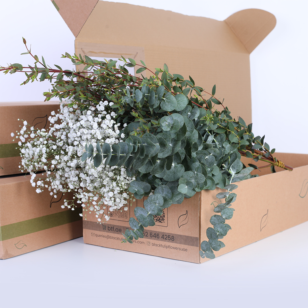 Gypsophila, Eucalyptus Cinerea & Italian Ruscus Bunch