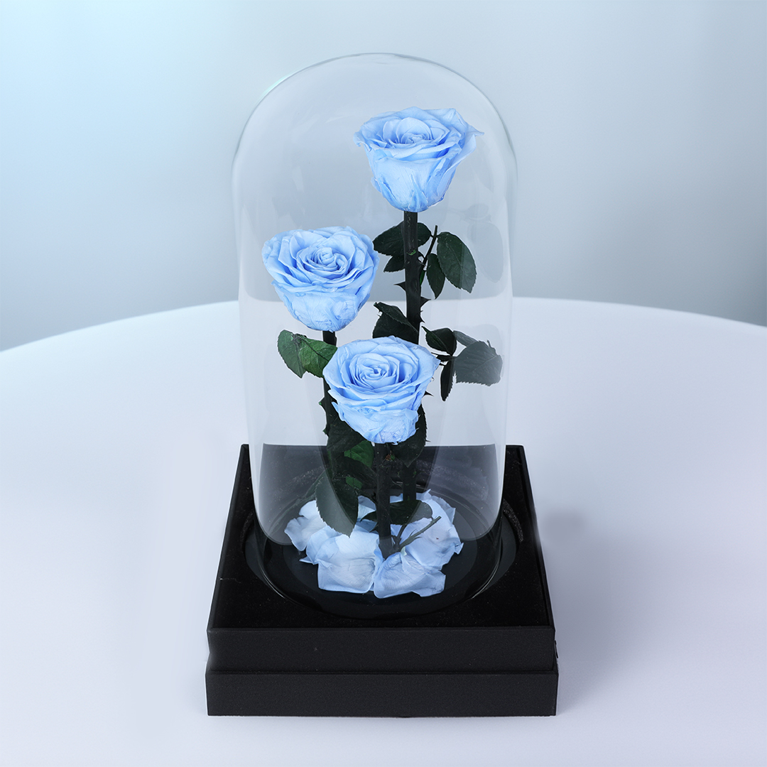 Light Blue Trio Forever Rose | 3 Soft Blue Infinity Roses